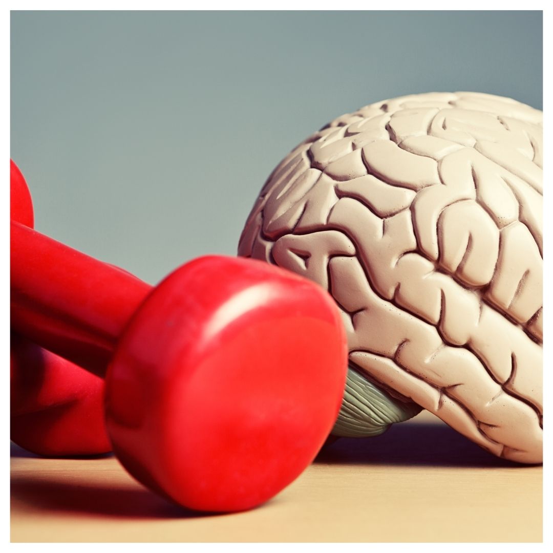 Exploring the Connection Between Body and Mind Health - Concept Therapy